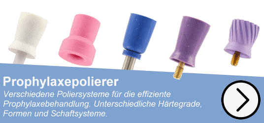 Prophylaxe - Rotodent